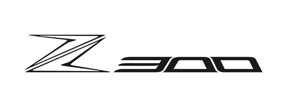 Kawasaki Z300 (2015) - 2ri.de
