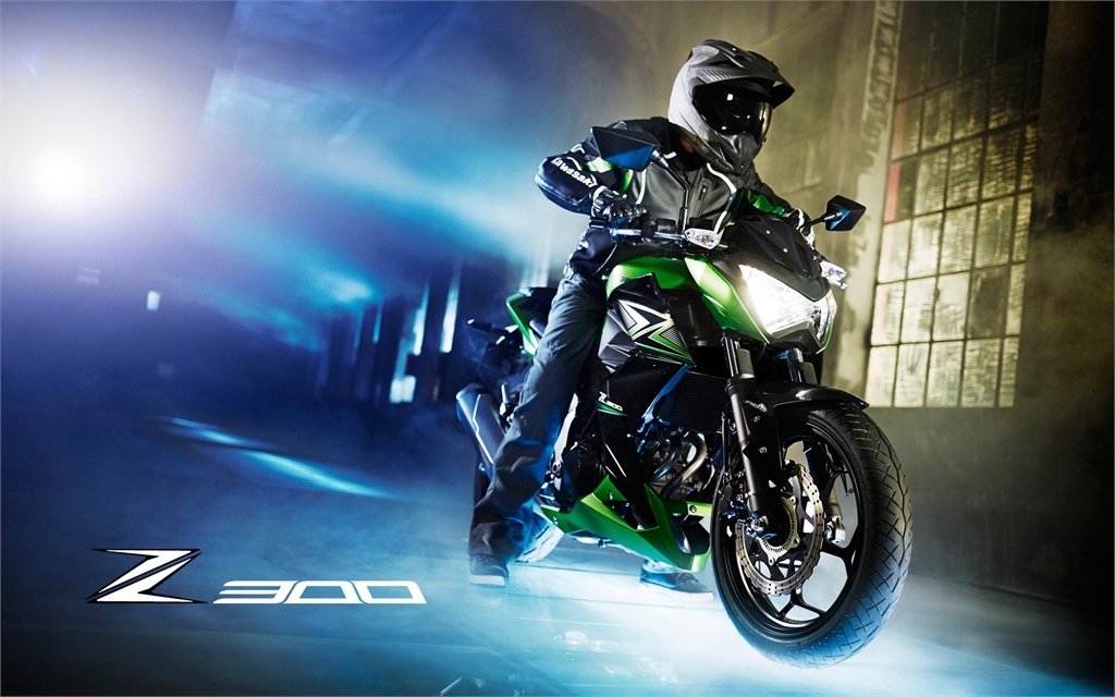 Kawasaki Z300 (2015) - 2ri.de